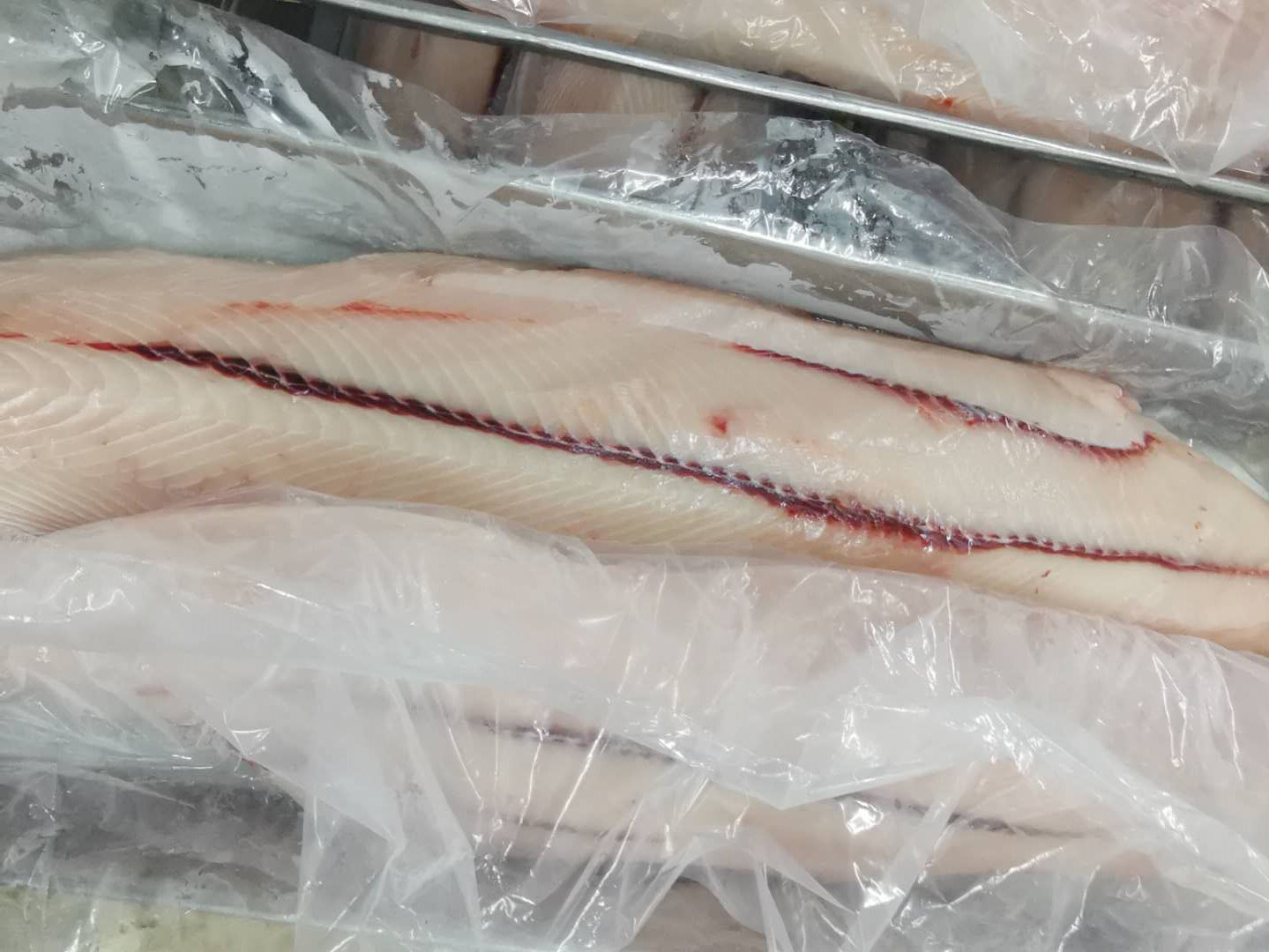 Speerfischknochen des Segel-2kg der Fisch-IQF einfrierender gefrorener ...